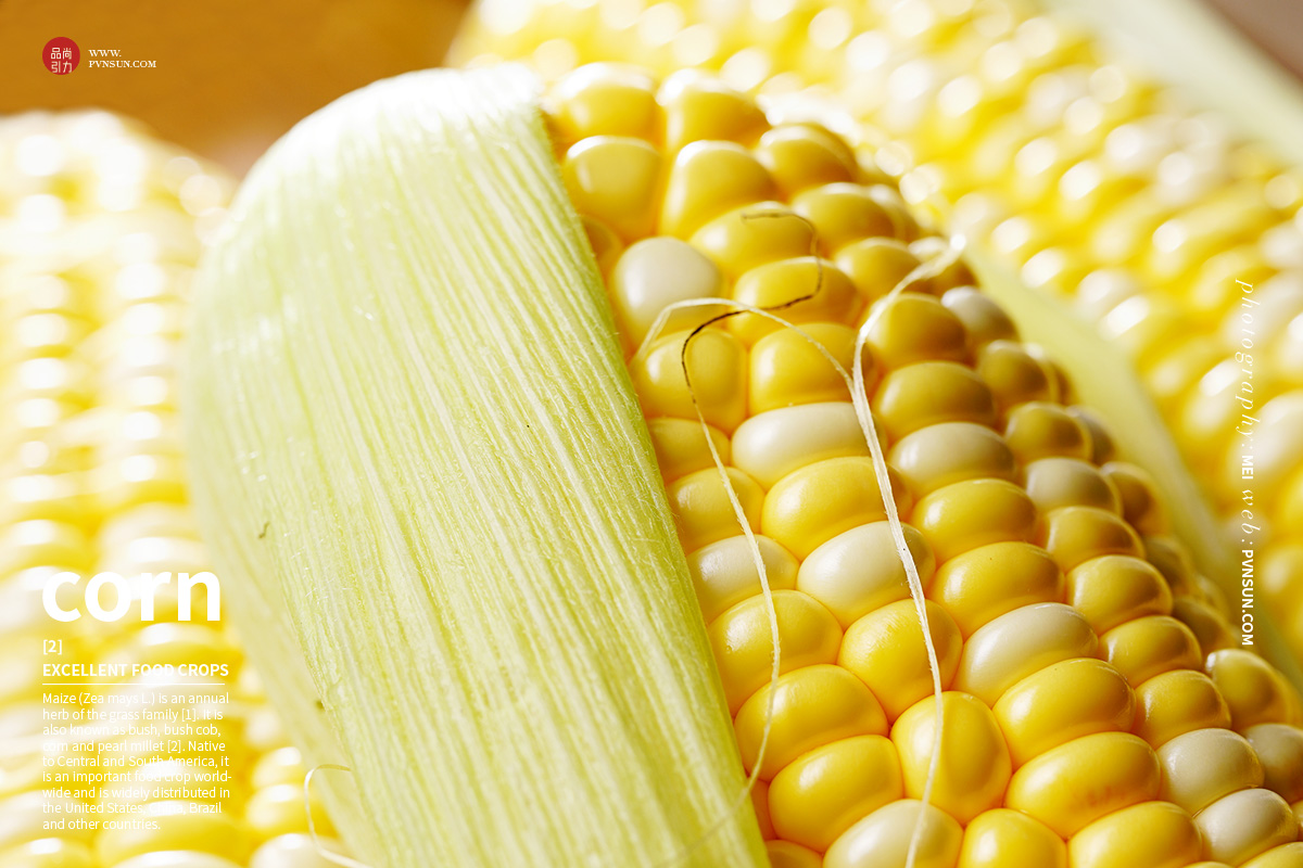 corn - 大连品尚引力影像机构#大连商业摄影#广告摄影#产品摄影#美食摄影#食品摄影#短视频制作#大连服装摄影#大连时装摄影#大连餐饮摄影 ...
