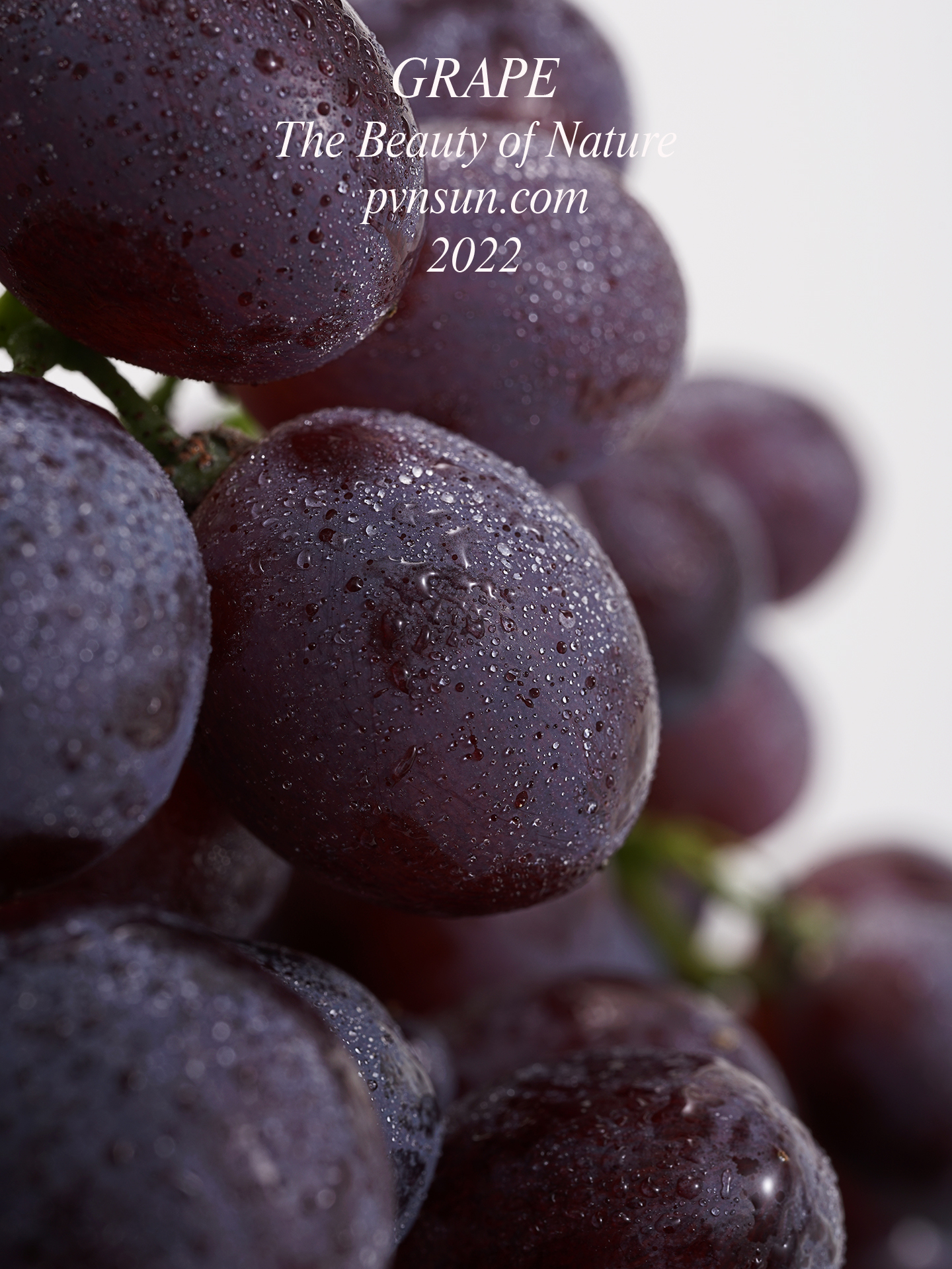 grape - 大连品尚引力影像机构#大连商业摄影#广告摄影#产品摄影#美食摄影#食品摄影#短视频制作#大连服装摄影#大连时装摄影#大连餐饮 ...