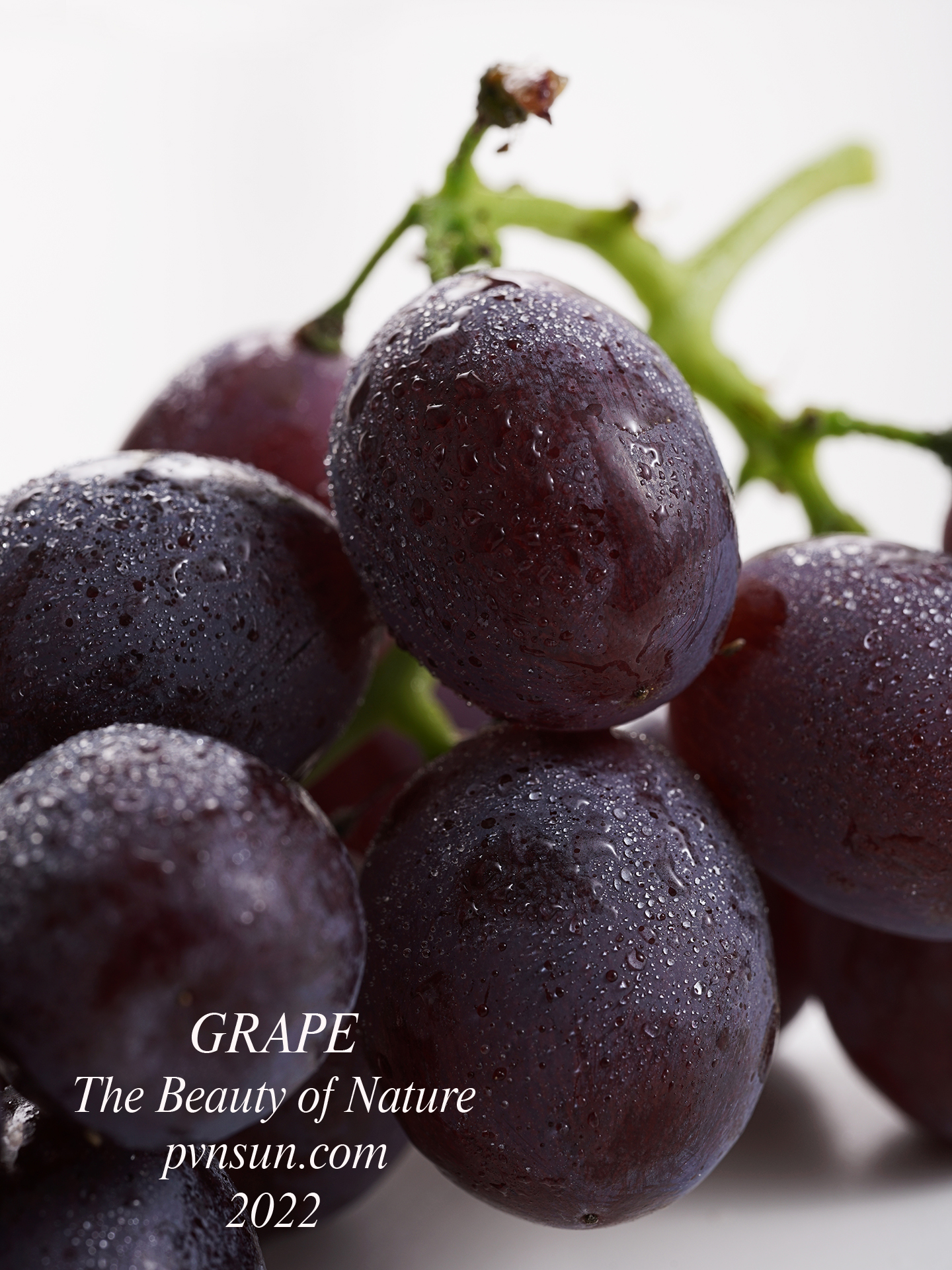 grape - 大连品尚引力影像机构#大连商业摄影#广告摄影#产品摄影#美食摄影#食品摄影#短视频制作#大连服装摄影#大连时装摄影#大连餐饮 ...