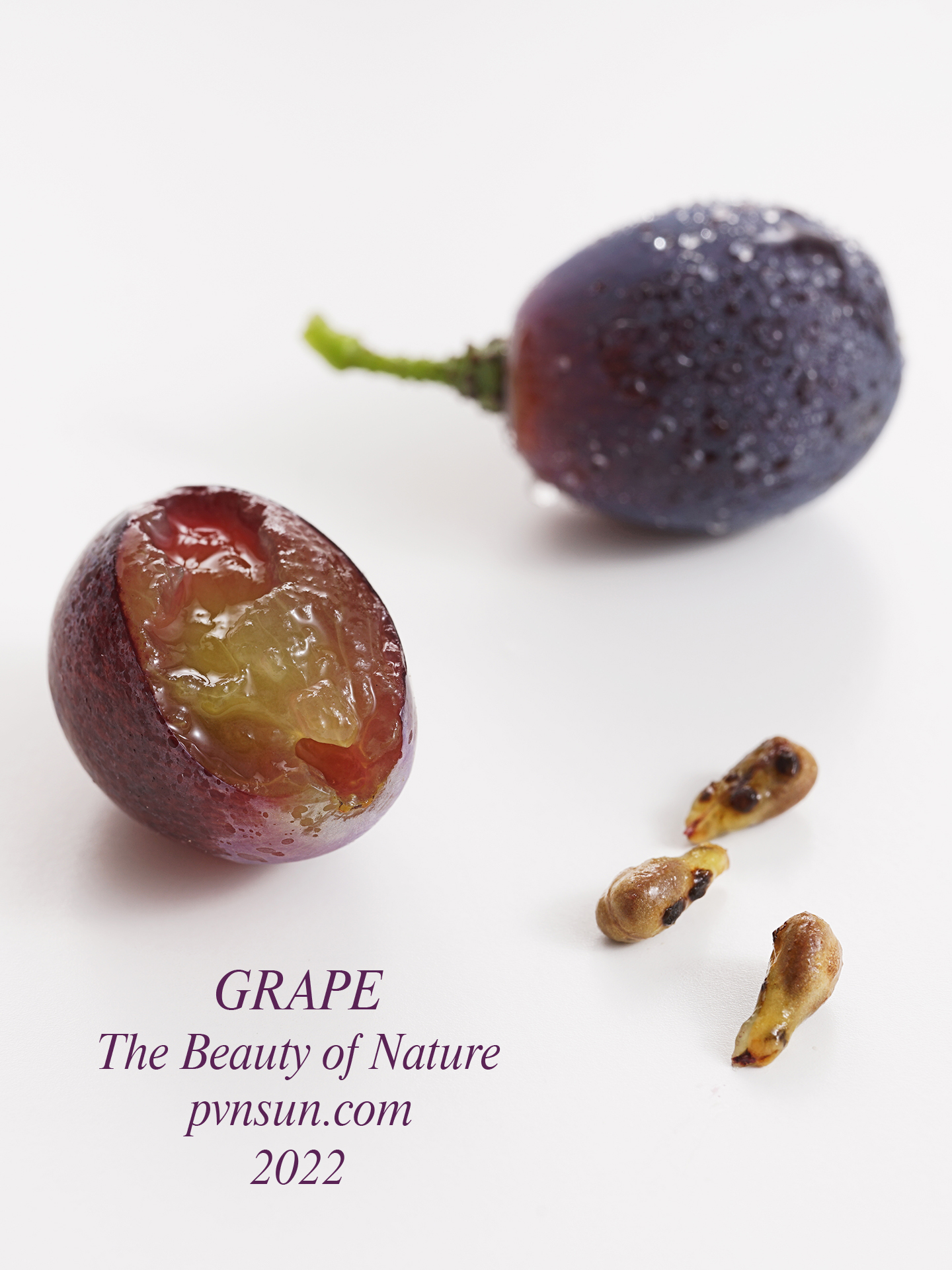 grape - 大连品尚引力影像机构#大连商业摄影#广告摄影#产品摄影#美食摄影#食品摄影#短视频制作#大连服装摄影#大连时装摄影#大连餐饮 ...