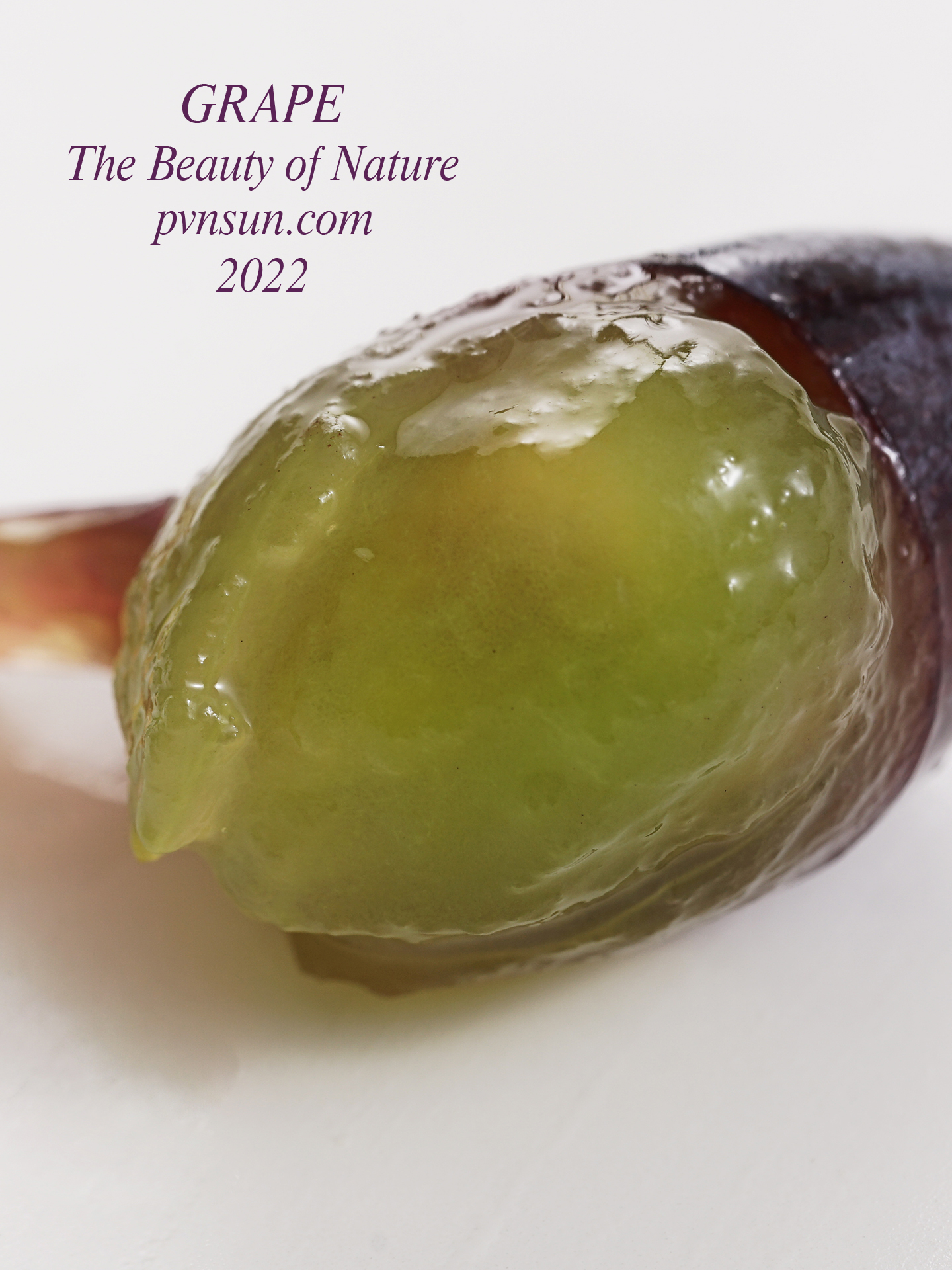 grape - 大连品尚引力影像机构#大连商业摄影#广告摄影#产品摄影#美食摄影#食品摄影#短视频制作#大连服装摄影#大连时装摄影#大连餐饮 ...